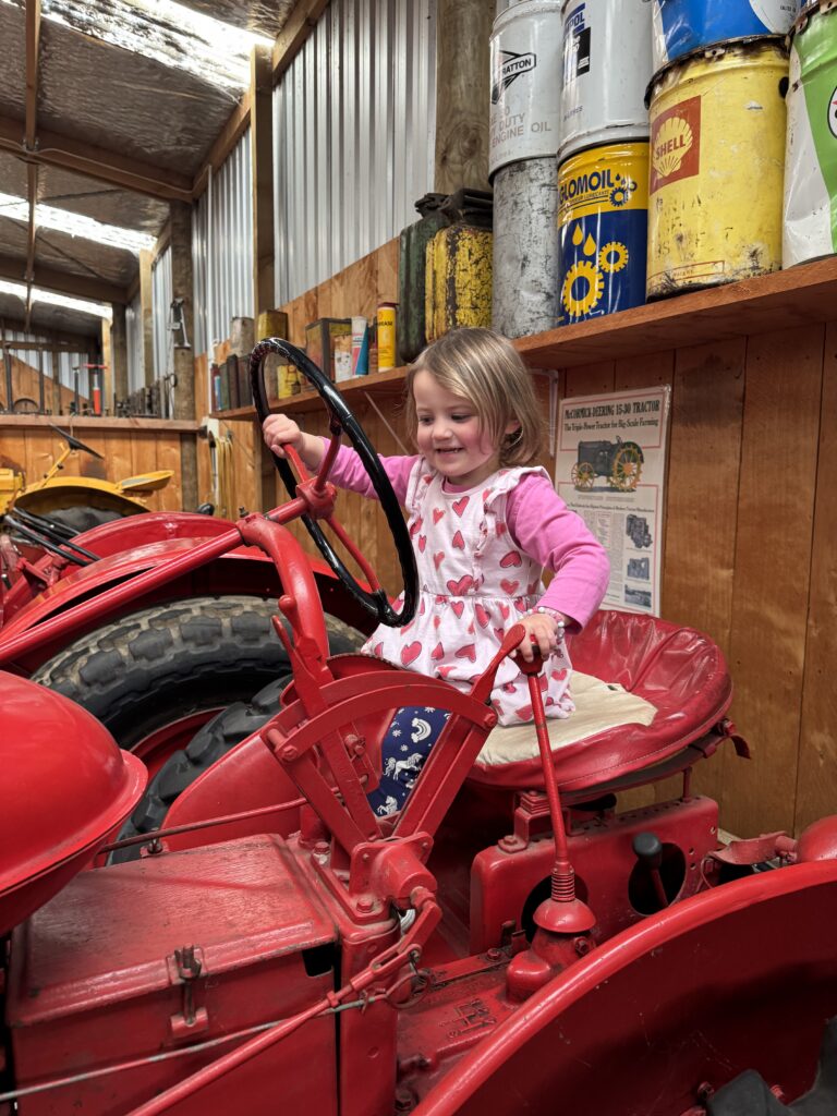 Lake Rotomanu will be drained this week to investigate extent of gold ...