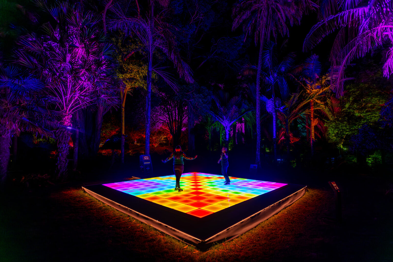 TSB Festival of Lights launches with five weeks of art and ...